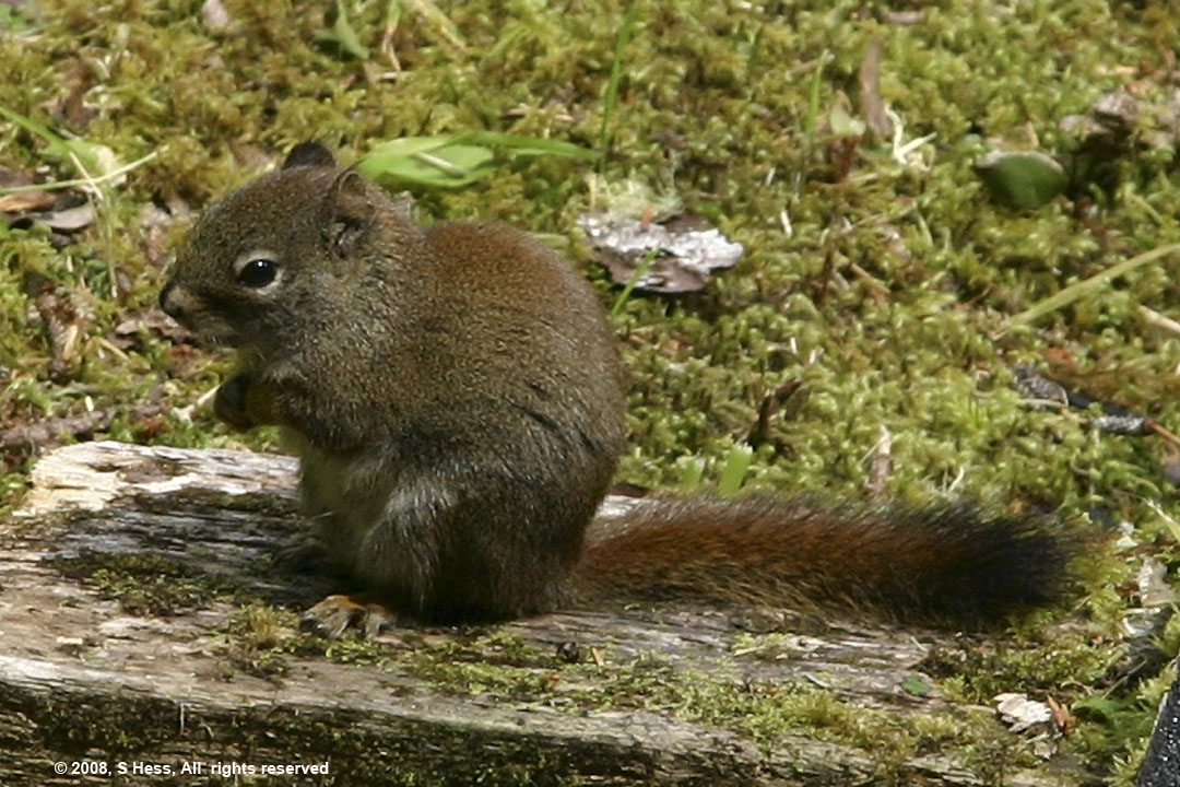 Queen Charlotte Islands, BC to Prince Rupert, BC